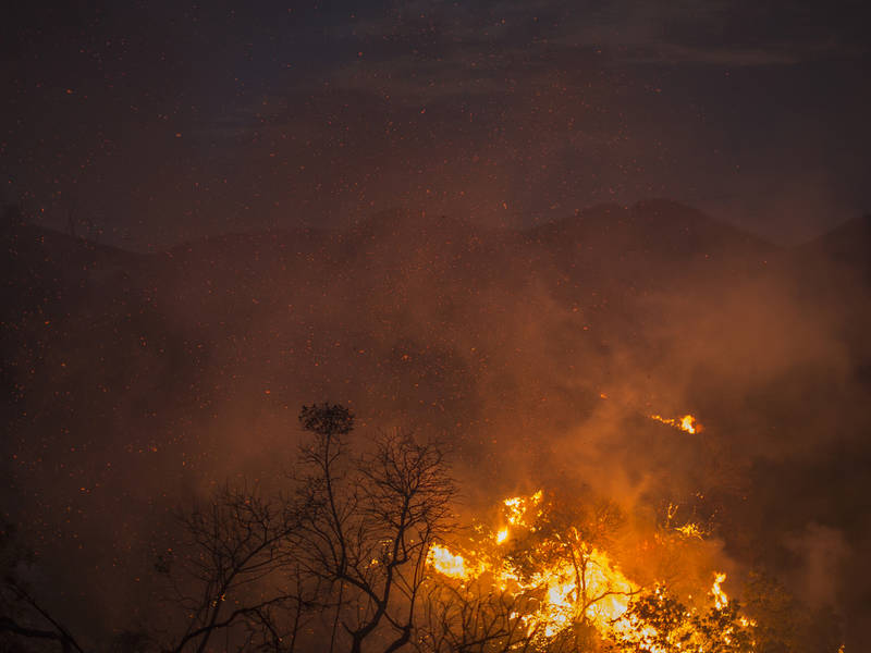 Napa Complex Fire, Sonoma Co. Fires Force Mass Evacuations; Several ...