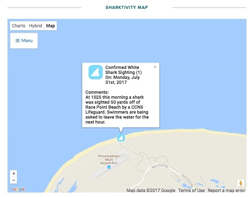 Shark Sighting Near Cape Cod Beach | Martha's Vineyard, MA Patch