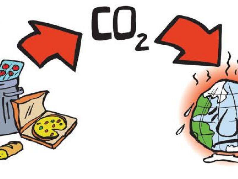 New Food Labels to Decrease Food Waste, Money Waste & Climate Change ...