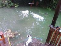 Hurricane Harvey: Unprecedented Flooding Impacts Friendswood, Other ...