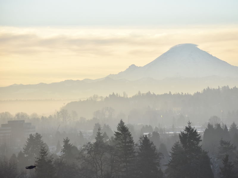 Prepare For Mt. Rainier Eruption During 'Volcano Awareness' Month ...