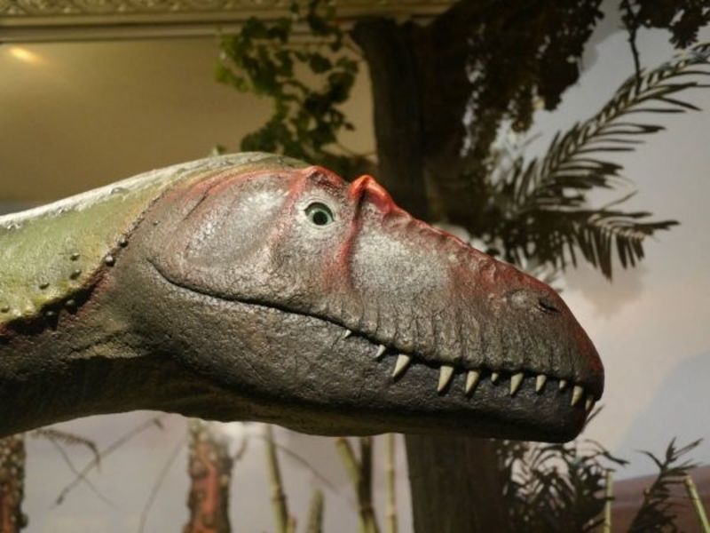 Pittsburgh Zoo Set To Debut Robotic Dinosaurs, Freaky Large Rodents ...